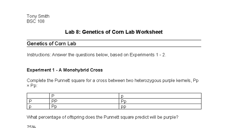 BSC 108 Lab 8: Genetics of Corn Punnett Square Analysis Worksheet - Studocu