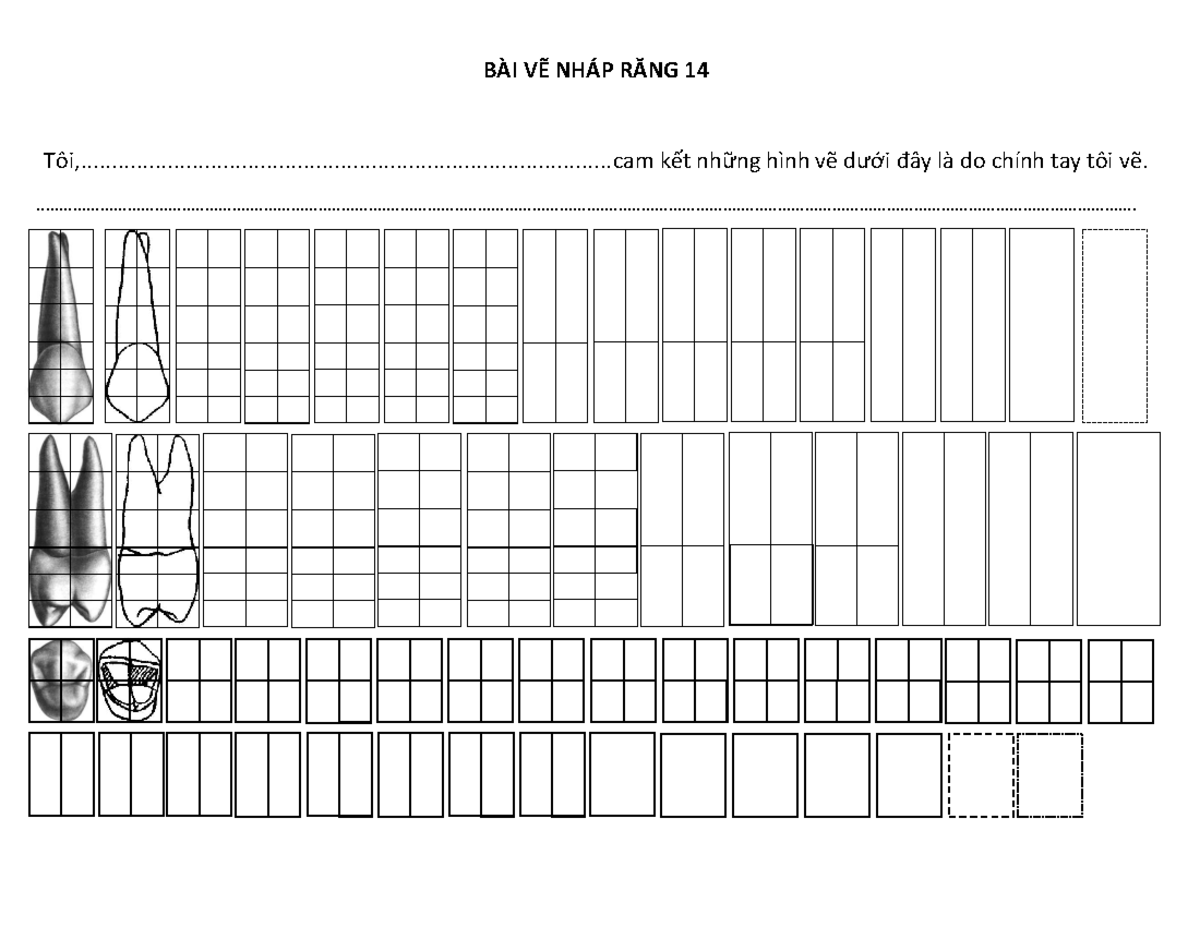 Ve nhap R14-24 - Các mặt của răng - giải phẫu - BÀI VẼ NHÁP RĂNG 14 ...