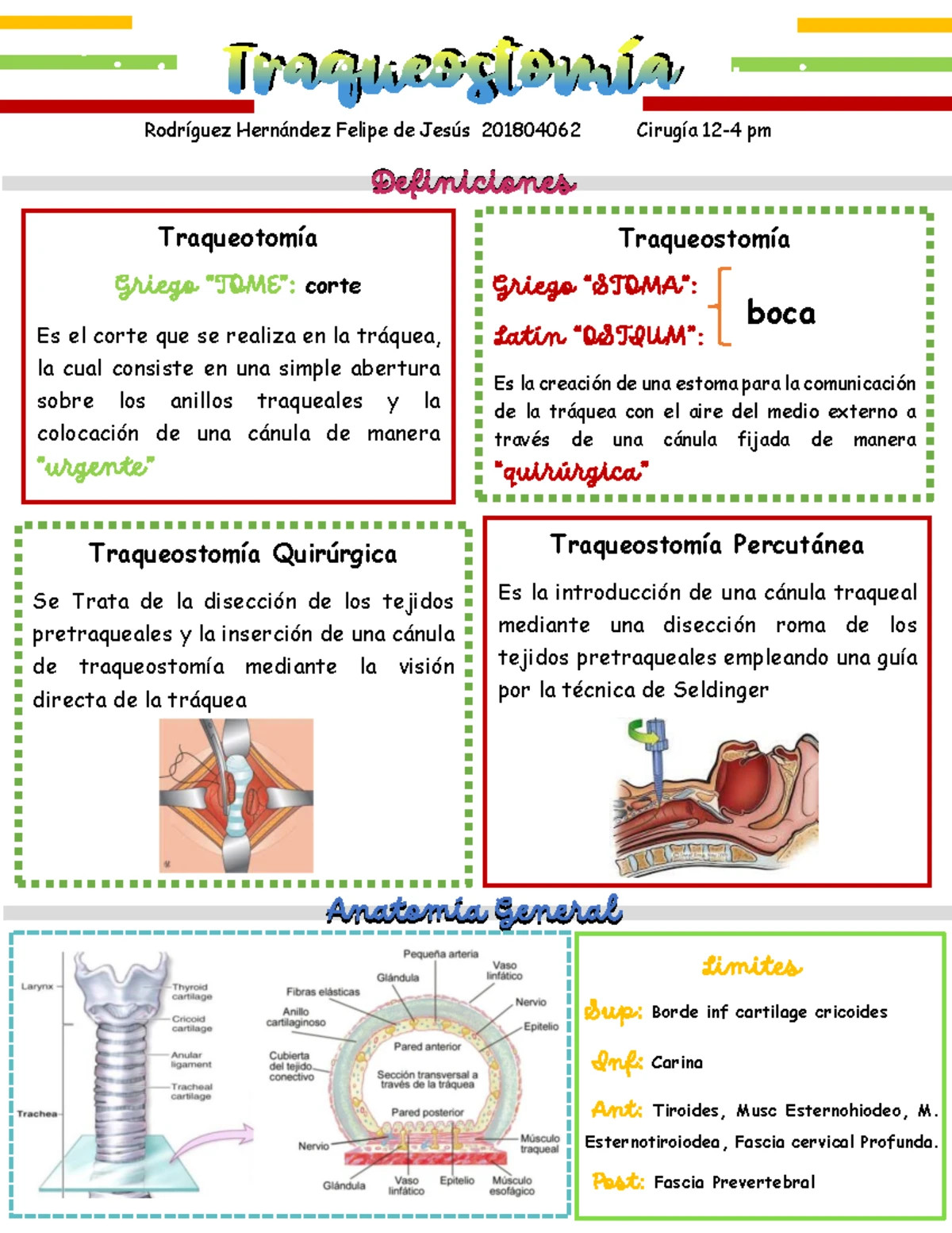 Suturas X y Z: Técnica y Tiempo de Aplicación en Urgencias - Studocu