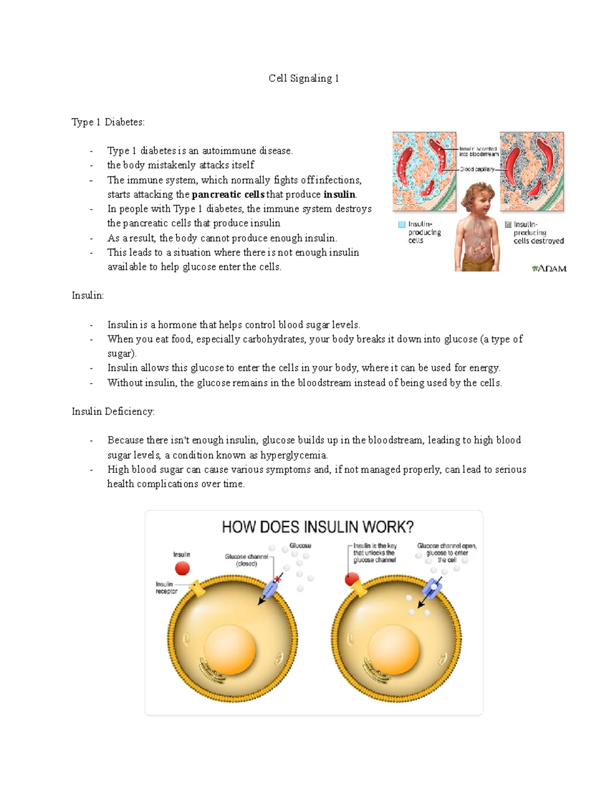 Copy of bio notes -4 - Cell Signaling 1 Type 1 Diabetes: Type 1 ...