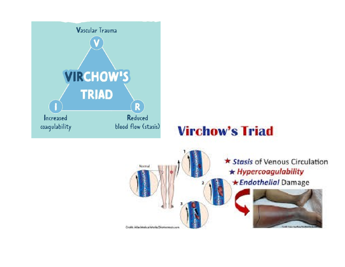 Vascular Trauma: Triads and Cardiac Tamponade Insights - Studocu
