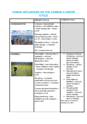 Coasts Case Studies detailed - Coasts Case Studies: High energy vs Low ...