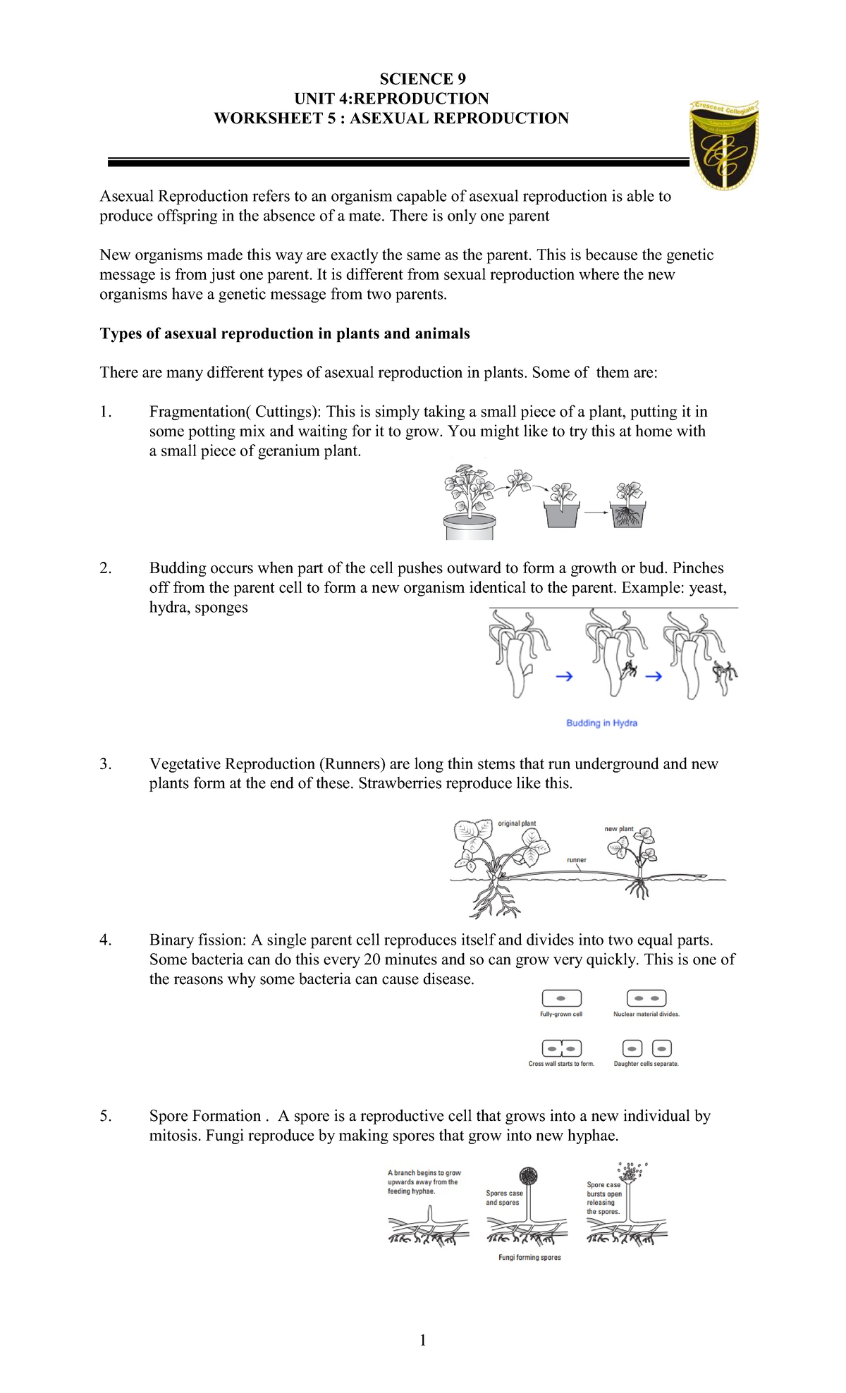 SCIENCE 9 UNIT 4: Asexual Reproduction Worksheet 5 - Studocu