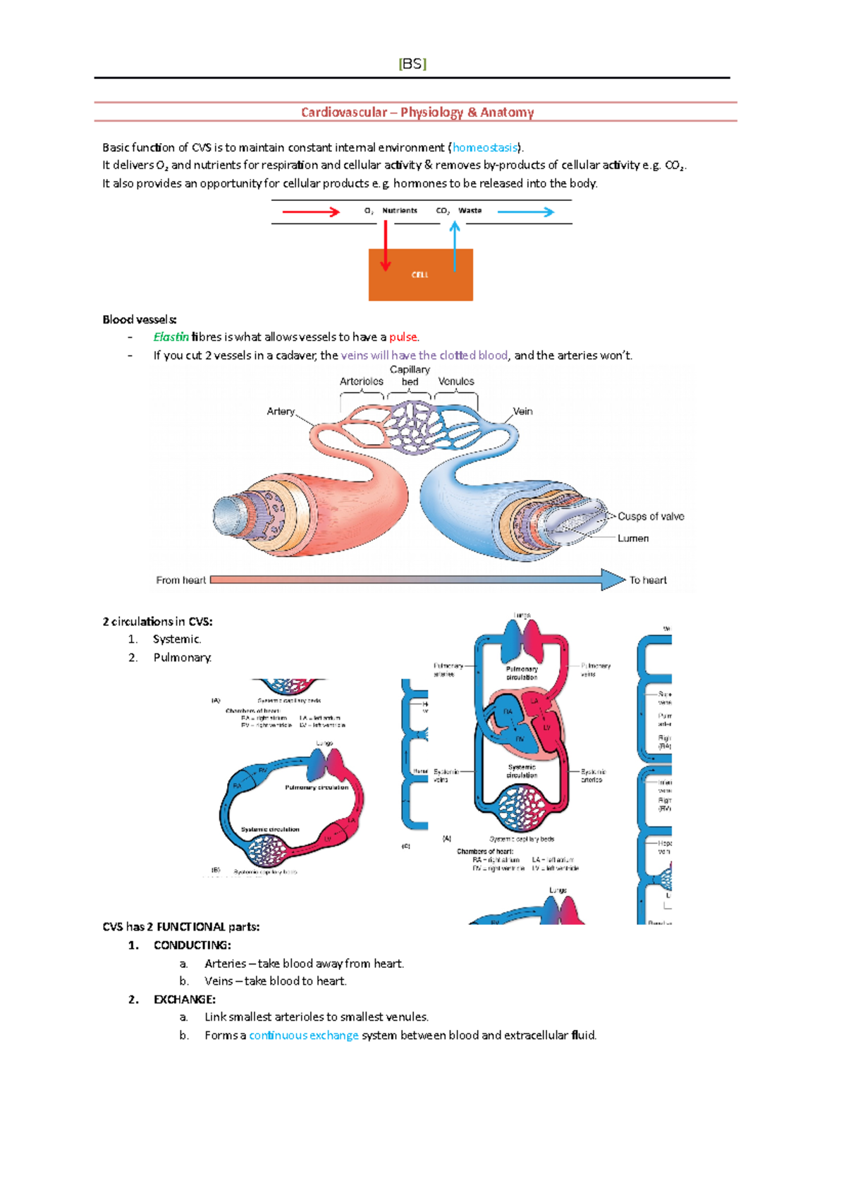 BS - Cardiovascular - Summary Anatomy and Physiology - Cardiovascular ...