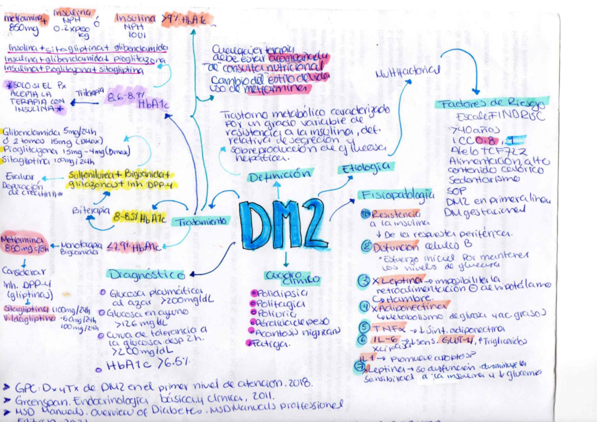Bernal - DM1 & DM2: Apuntes sobre Insulina y Terapias - Studocu