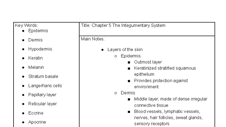 A&P Chapter 5 - The Integumentary System Key Notes - Studocu