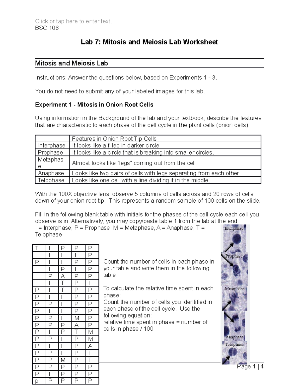 Lab-7-Mitosis-Meiosis-Lab-Worksheet 2023 - BSC 108 Lab 7: Mitosis and ...