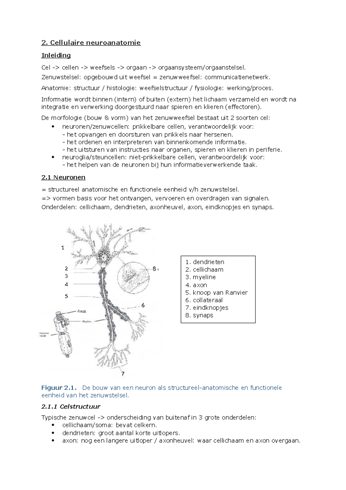 2. Cellulaire Neuroanatomie: Structuur en Functie van Neuronen en ...