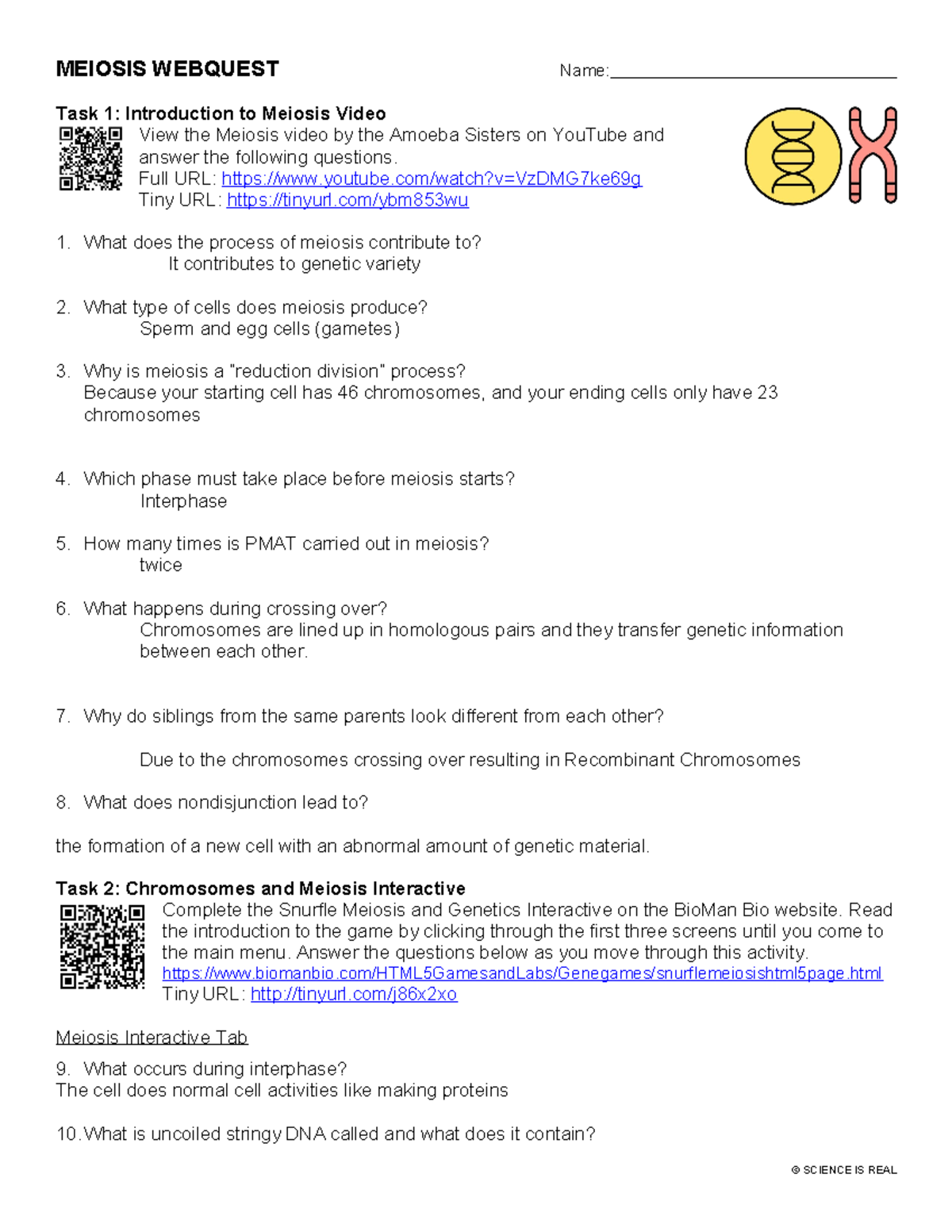 Meiosis Webquest 2024 - Honors Biology Interactive Tasks - Studocu