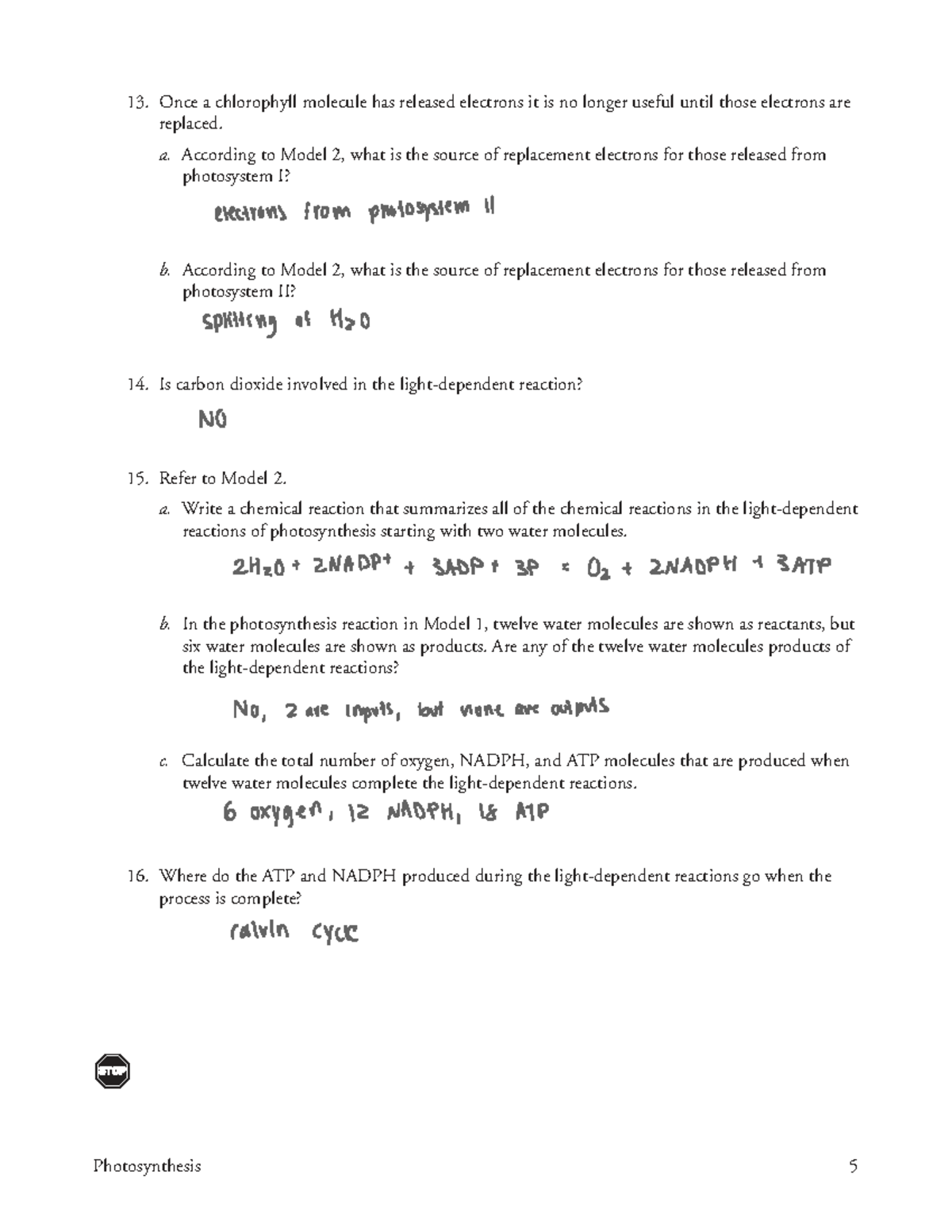 AP Biology 3 - Photosynthesis Reactions Worksheet - Studocu