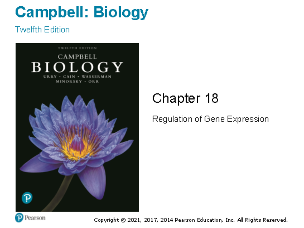 Biology Unit 5 - Test 5: Gene Regulation & Evolution Concepts - Studocu
