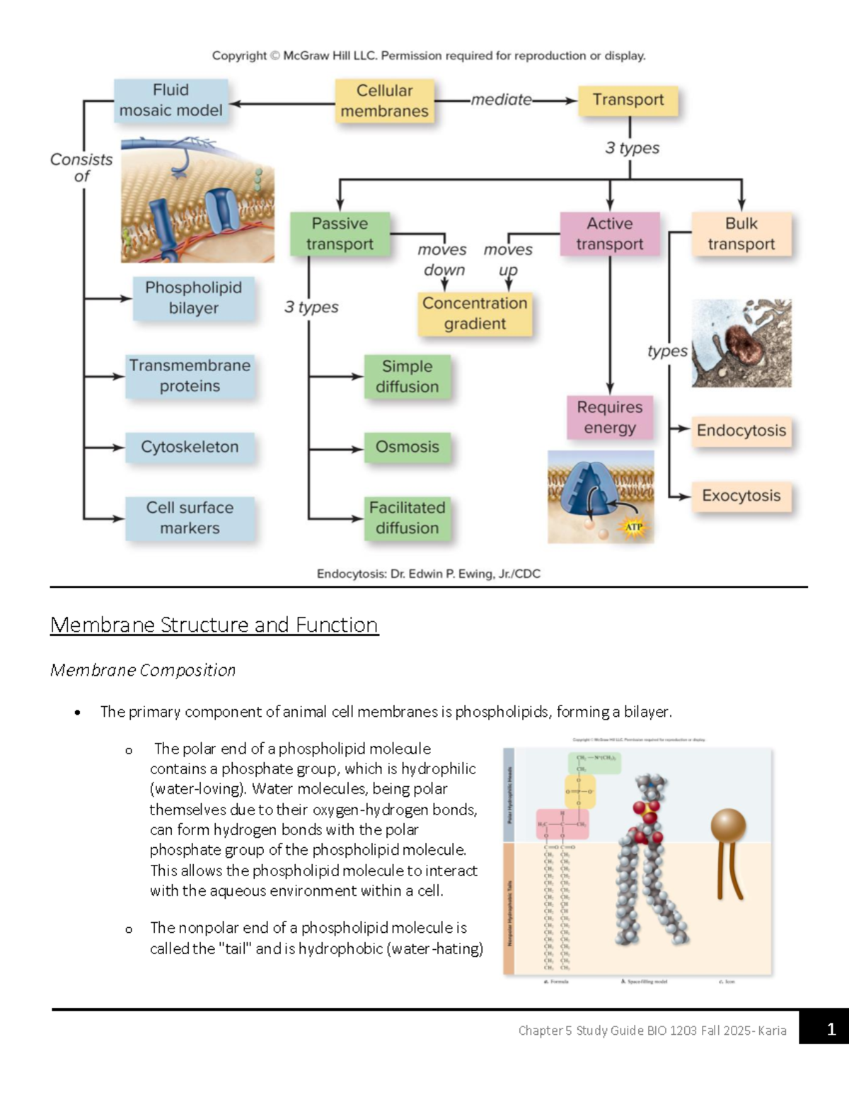 Chapter 5 Study Guide: Membrane Structure & Function - BIO 1203 Fall 2025 - Studocu