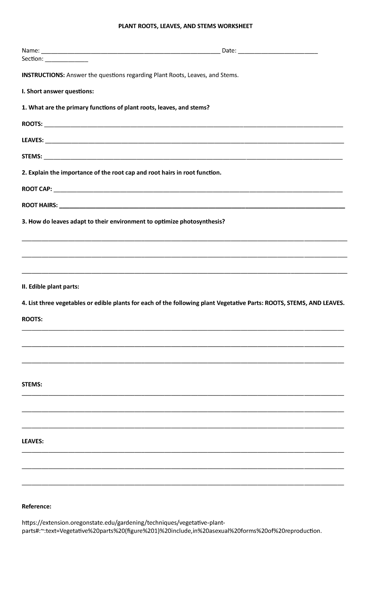 Plant- Roots- Stems- Leaves 11 07 2023 - PLANT ROOTS, LEAVES, AND STEMS ...