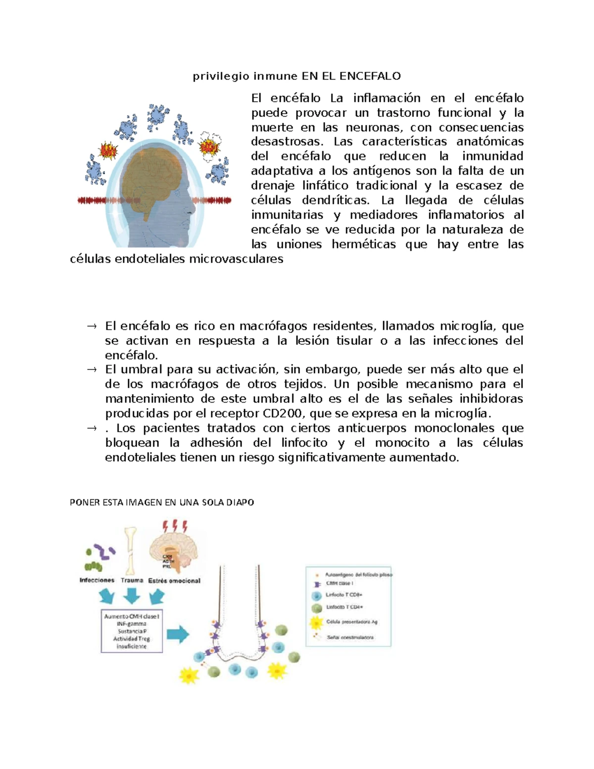 Sistema Inmune Mapa Conceptual - Sistema Inmune Inmunidad Innata ...