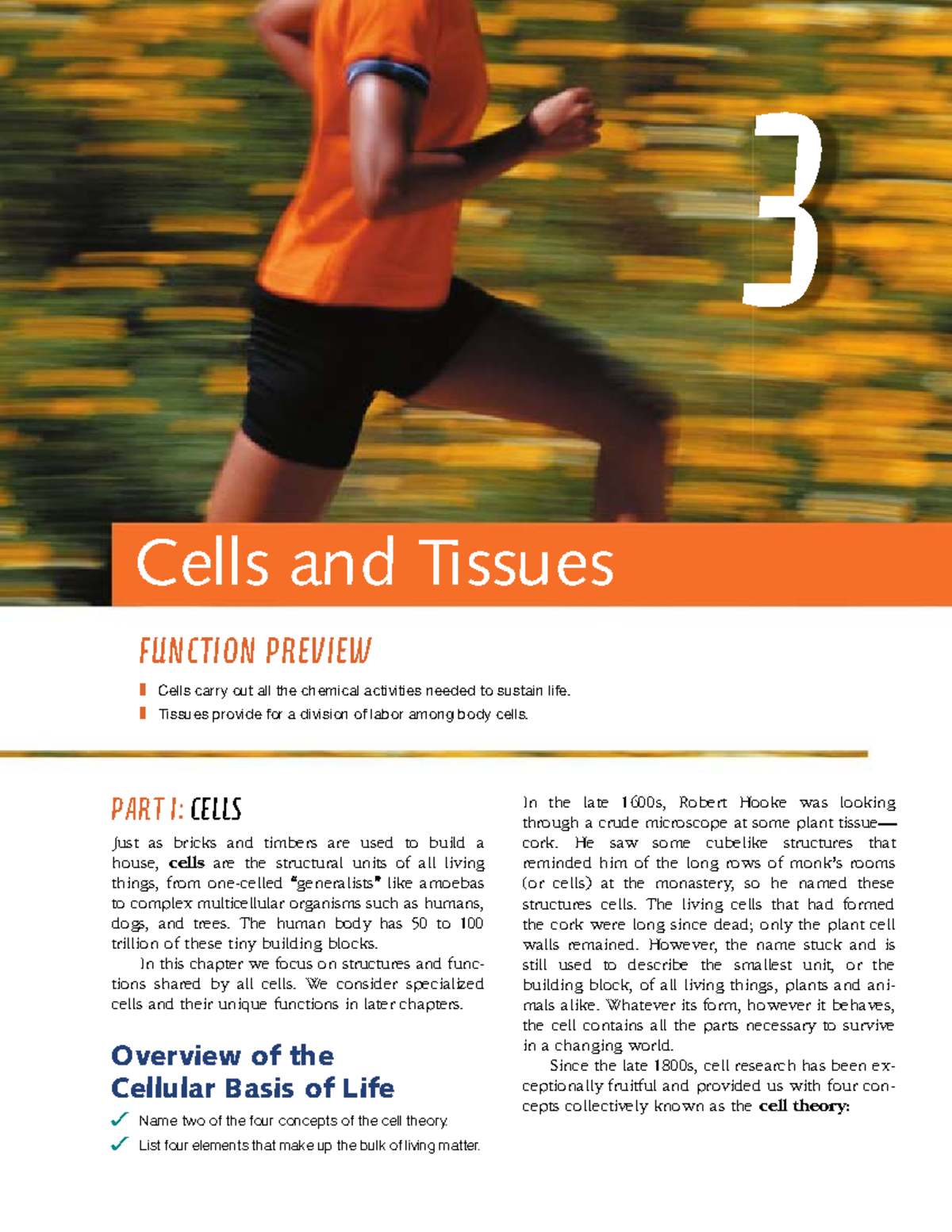 N101: Chapter 3 - Cells and Tissues Overview in Human Anatomy - Studocu