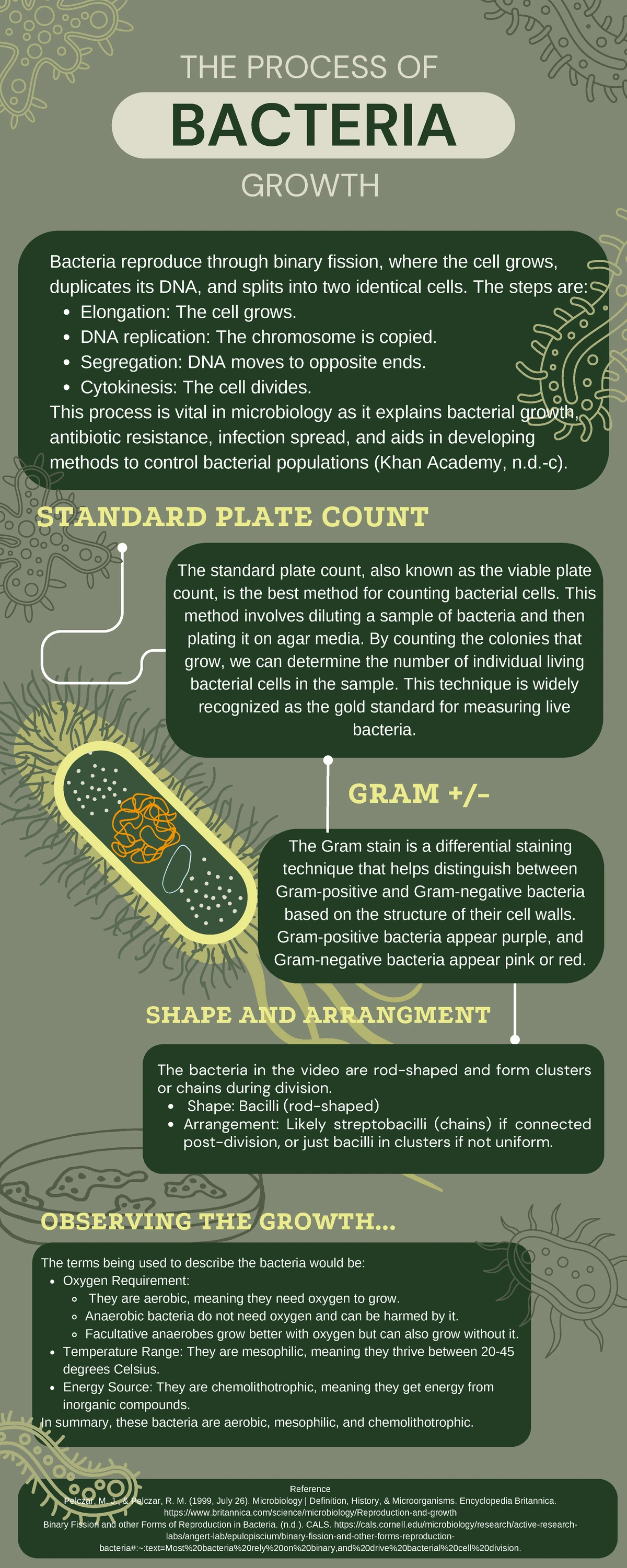 Parts of a Cell Lab - SCI 125 Microbiology Cell Biology: Parts of a ...