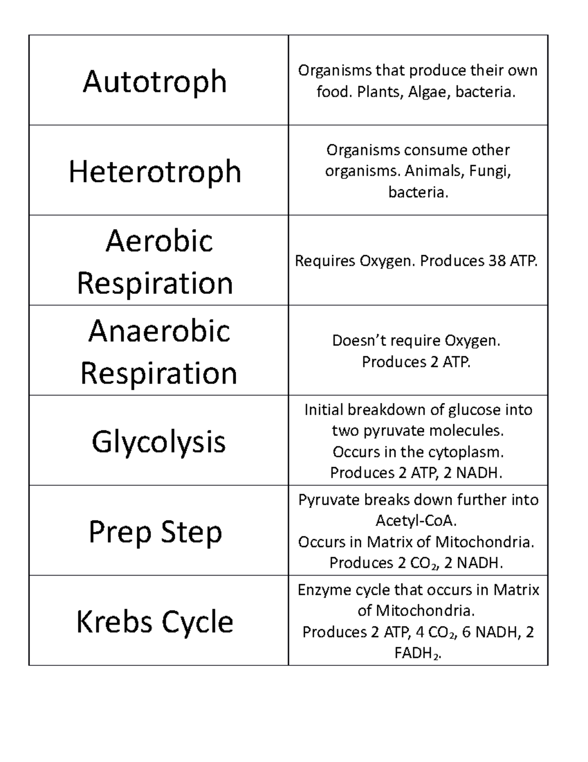 AP Biology Cellular Respiration Vocabulary Organizer Guide - Studocu