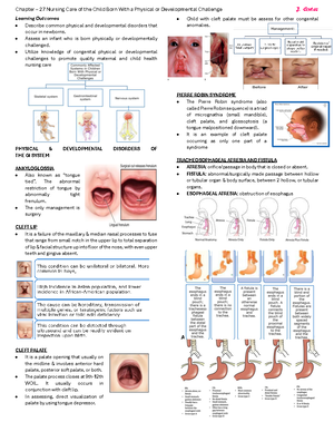 Tahbso - Total Abdominal Hysterectomy Bilateral Salpingo-Oophorectomy ...