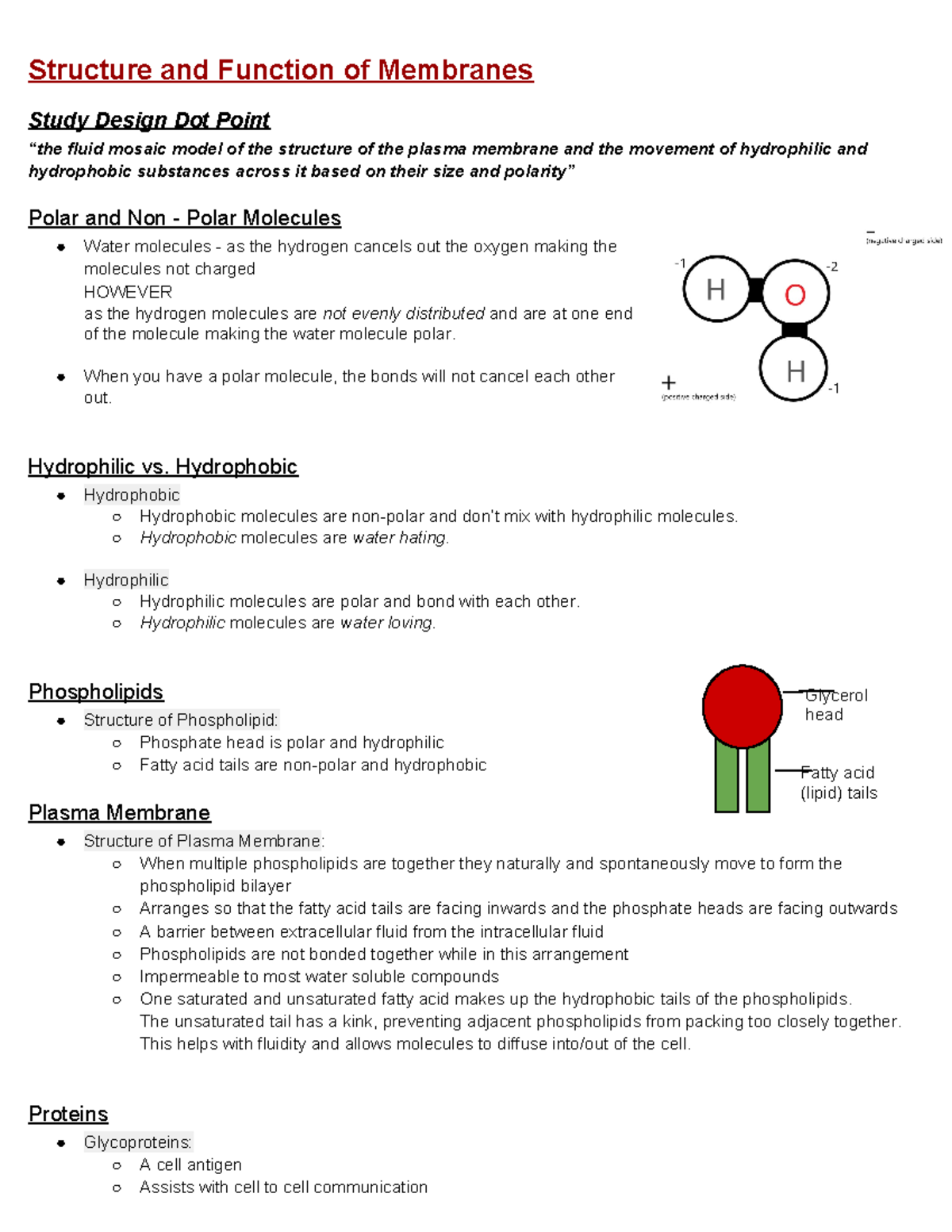 Biology Notes: Structure & Function of Membranes, Proteins, and ...