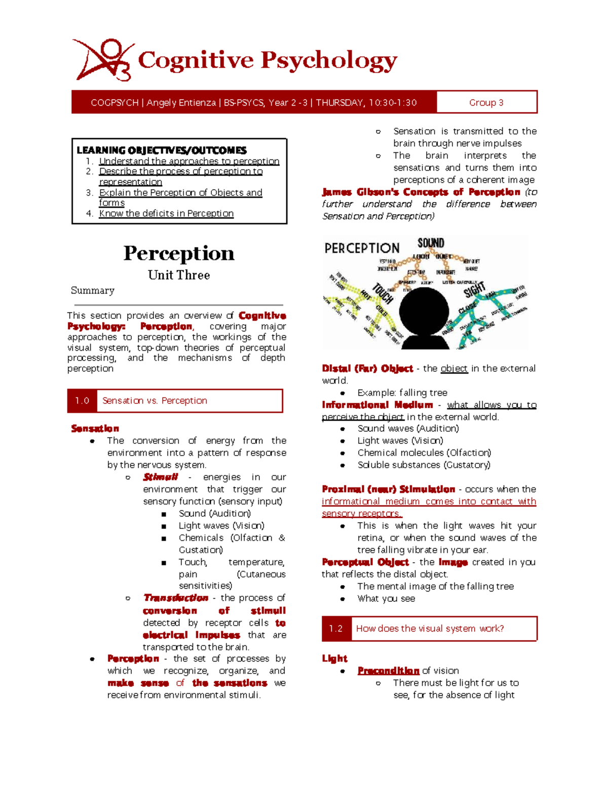 Cognitive Psychology COGPSYCH Year 2 Group 3 Perception Overview ...