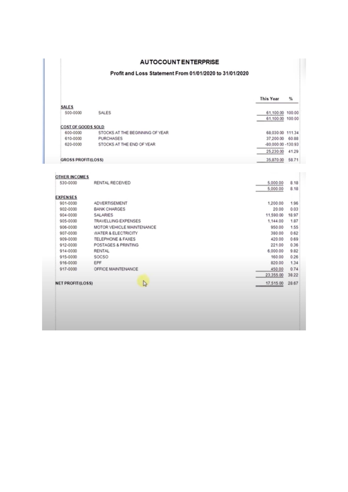 Assignment 2: AUTOCOUNT Enterprise Profit & Loss Statement Analysis ...