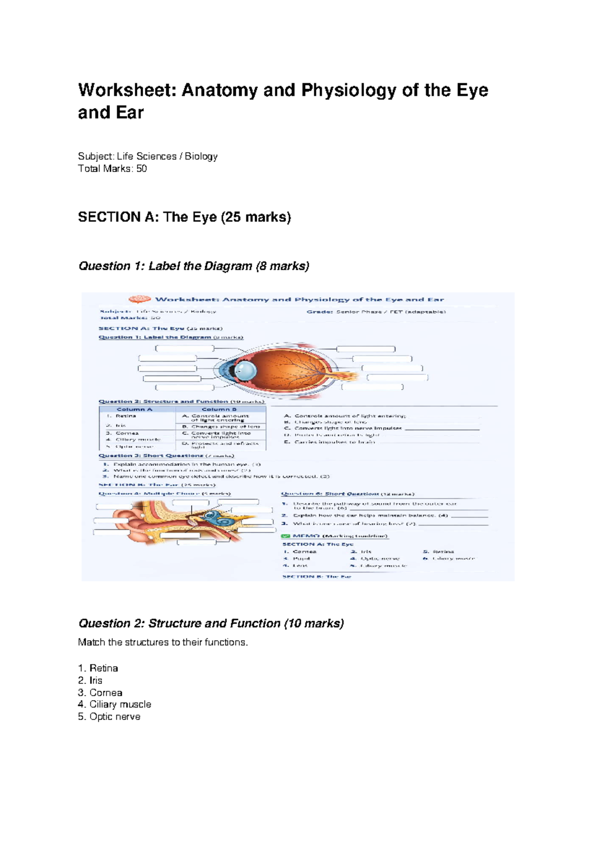 Life Sciences Biology: Eye and Ear Anatomy Worksheet - Studocu