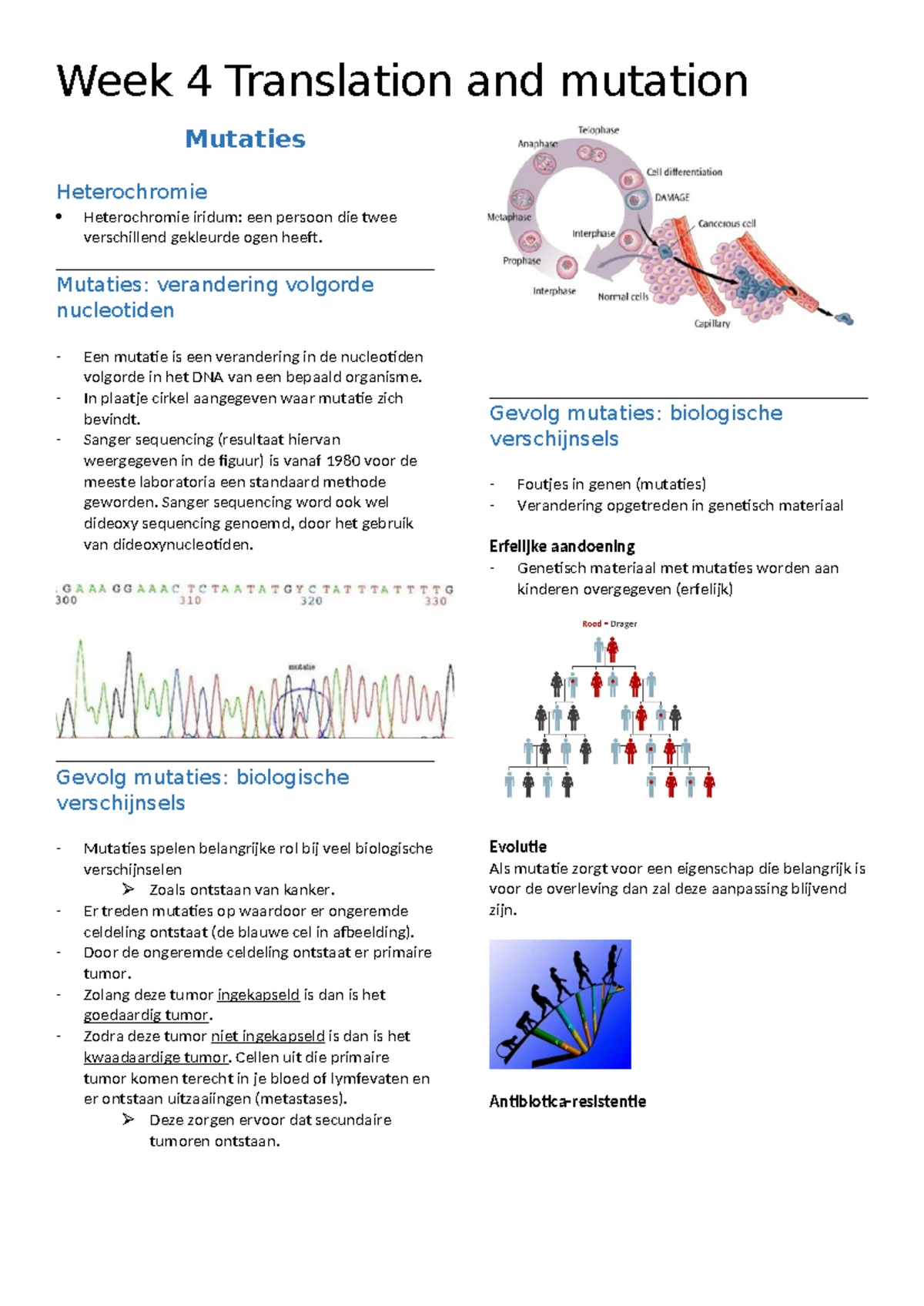 cellen (plantaardige cel) - Plantaardige cel Organellen Celwand ...