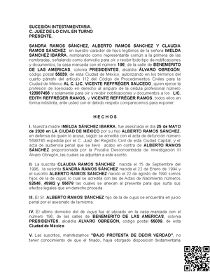 Modelo de solicitud de embargo precautorio como medida cautelar ...