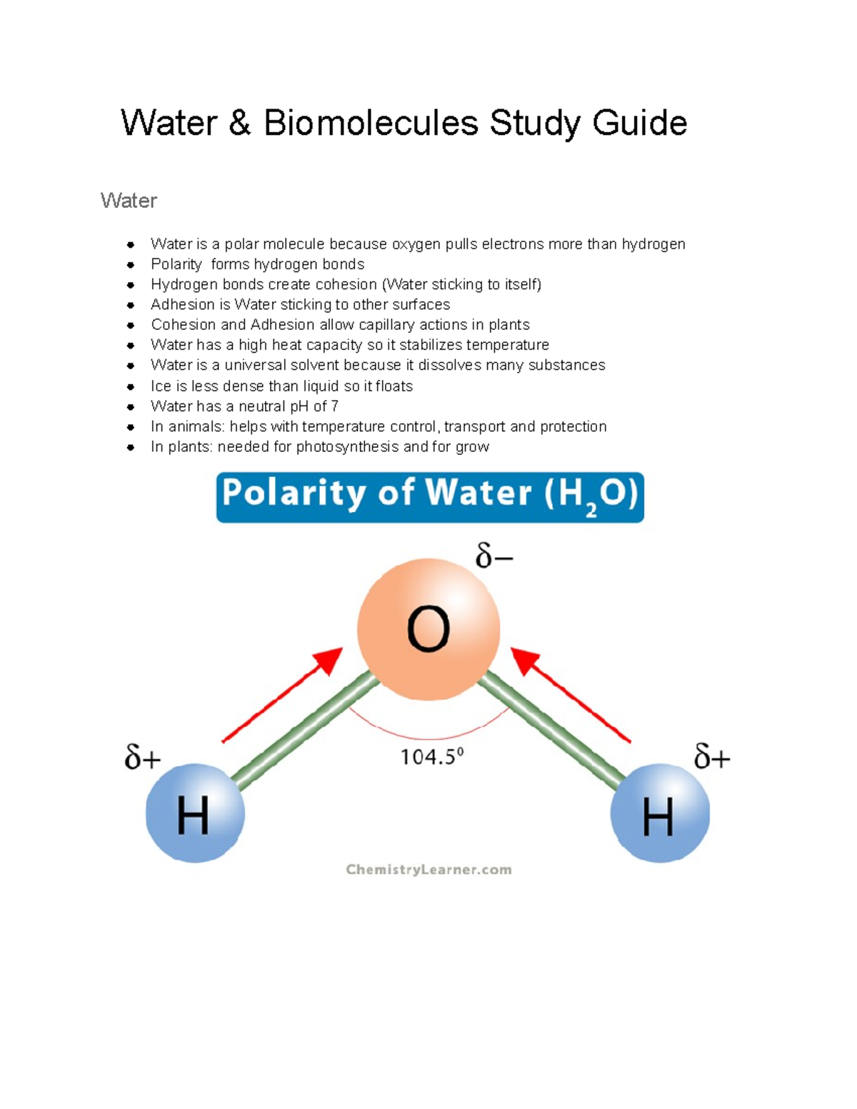 Water & Biomolecules Study Guide (BIO101) - Studocu