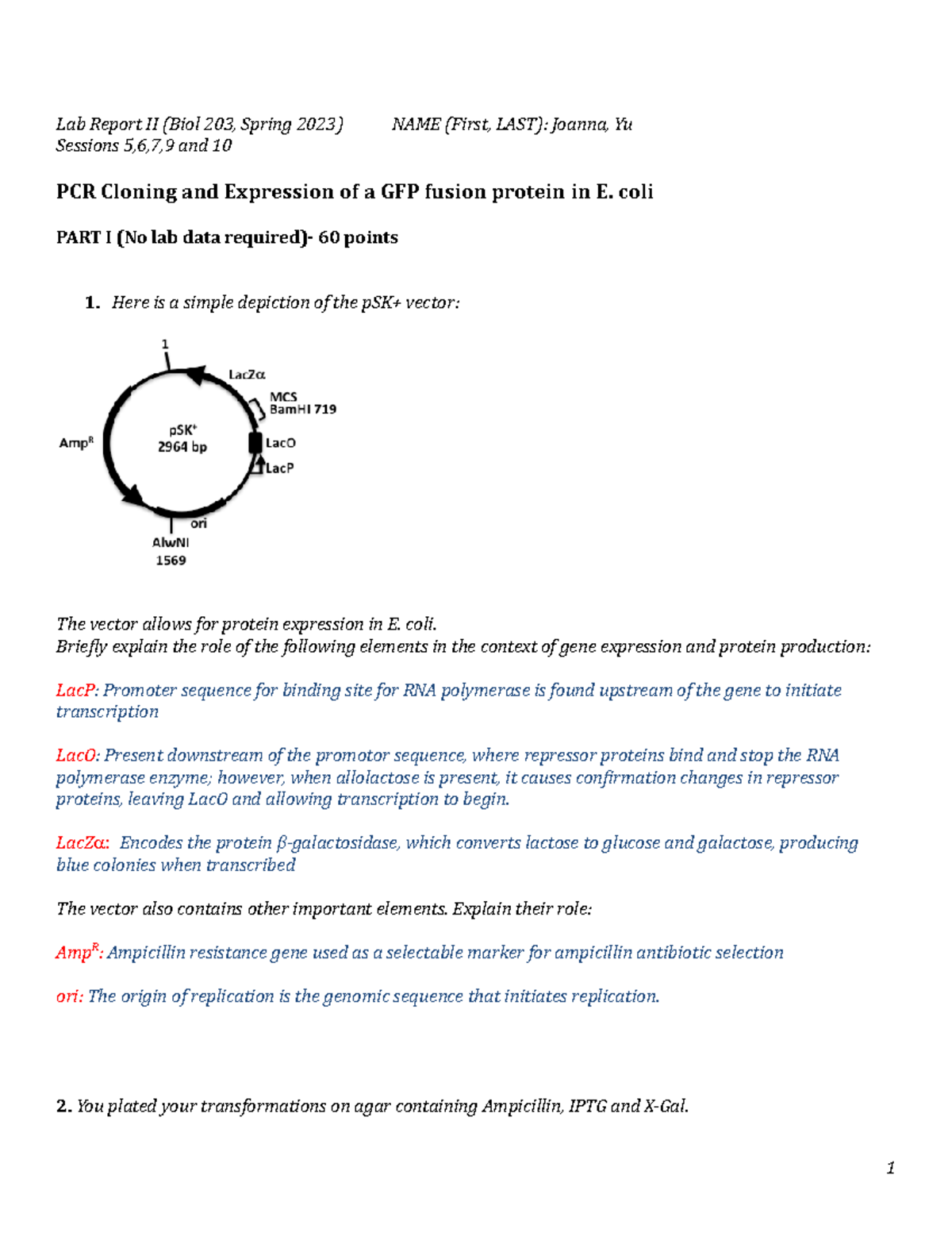 BIOL 203 Lab Report II: PCR Cloning and GFP Expression in E. coli - Studocu
