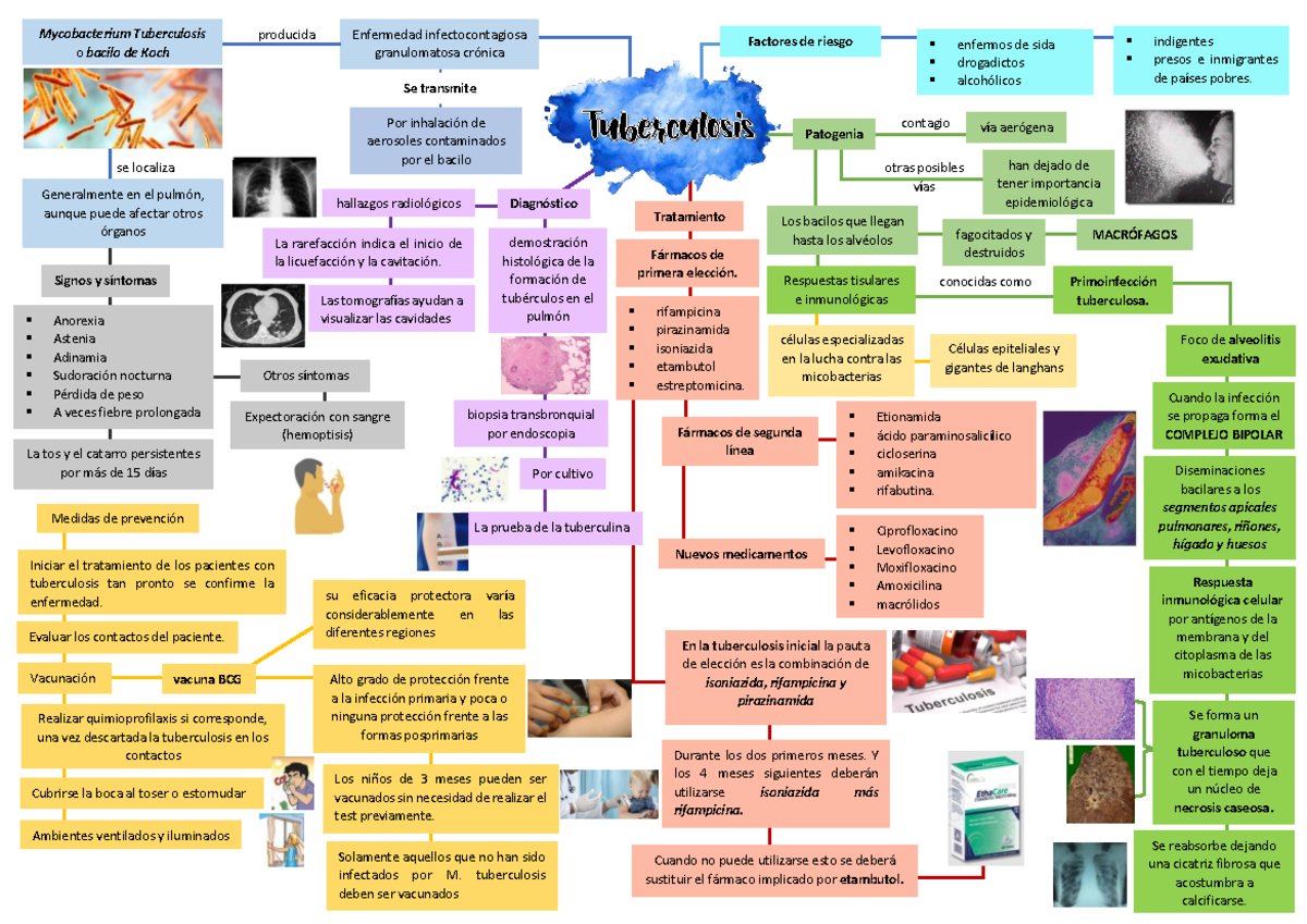 Mapa de tuberculosis - conocidas como Enfermedad infectocontagiosa ...