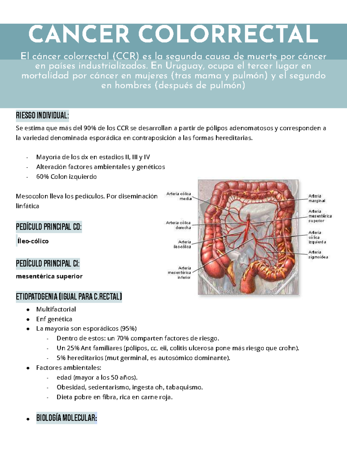 CÁNCER COLORRECTAL: Guía Completa sobre Diagnóstico y Tratamiento - Studocu