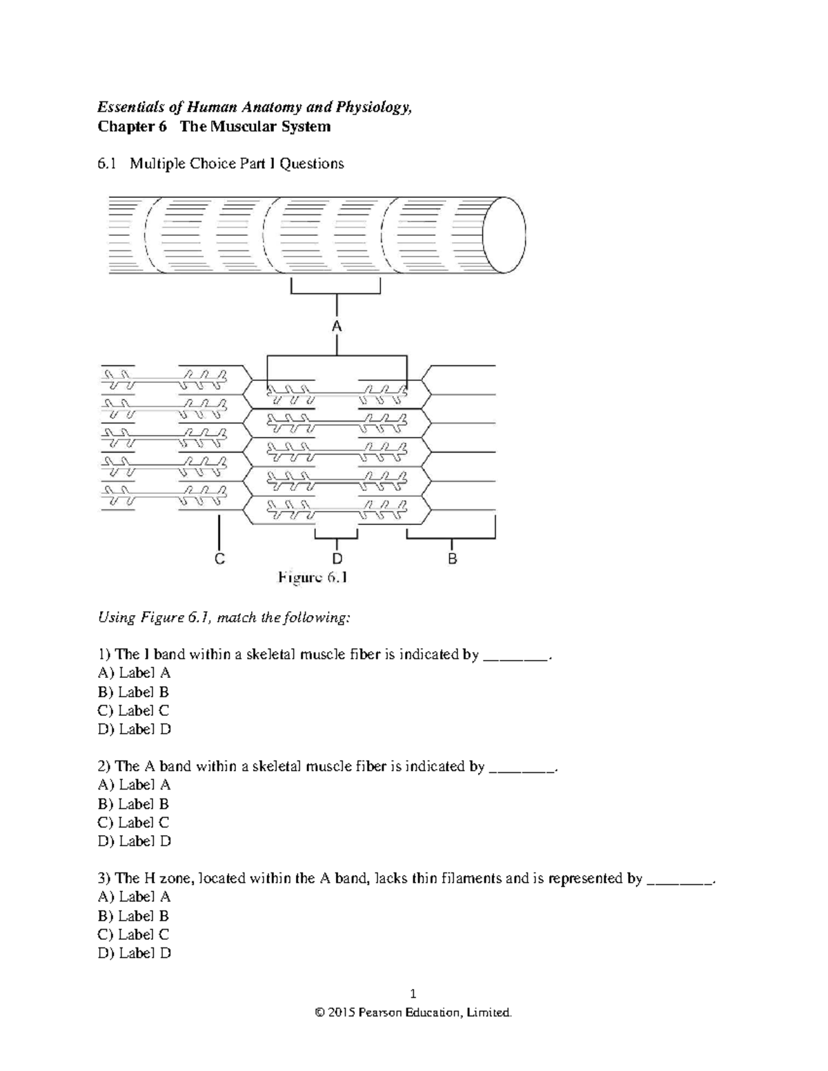 SZOL 122 2016 Muscular System Worksheet: Chapter 6 MCQs & Explanations ...