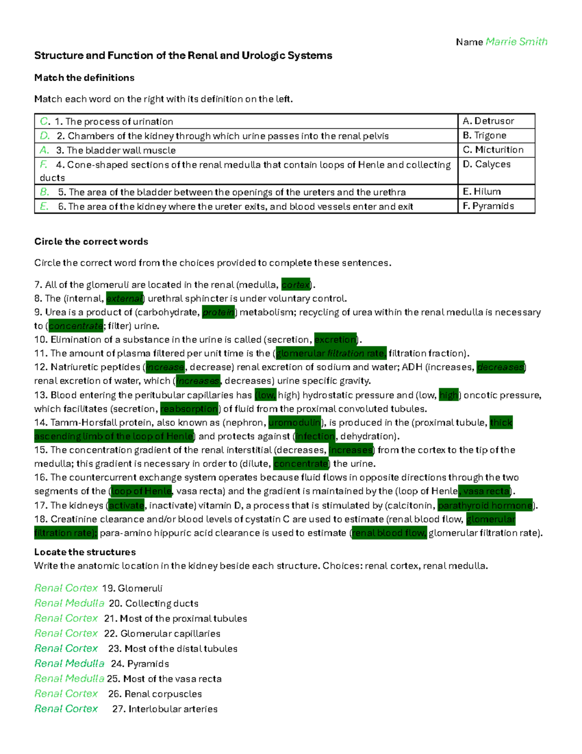 Renal & Urologic System Worksheet: Structure & Function Overview - Studocu