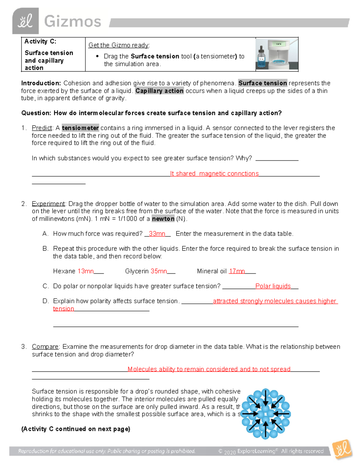 Gizmo Sticky Molecules Activity C - 2020 Activity C: Surface tension ...