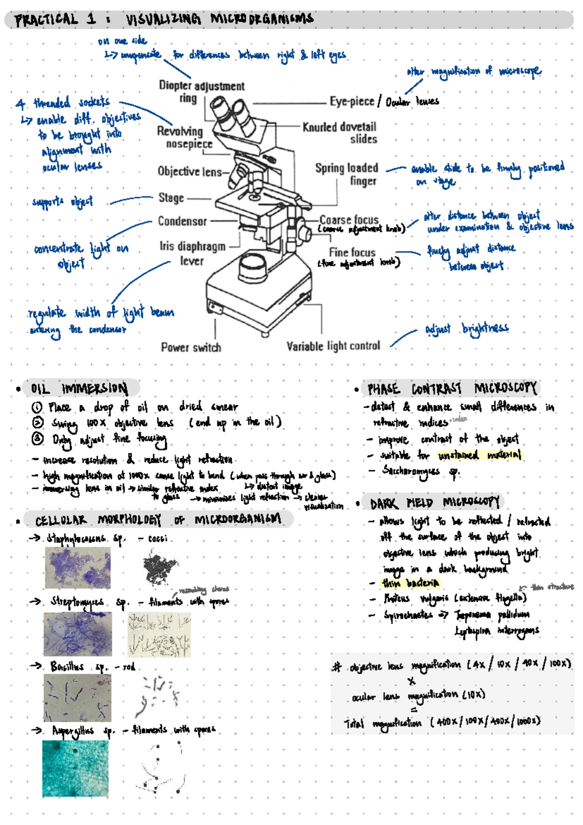 PRACTICAL 1: MICROSCOPY OF MICROORGANISMS AND CELLULAR MORPHOLOGY - Studocu