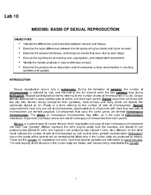LAB 11 Genetics Worksheets - NAME: BIO-1: SECTION Lab 11 HEREDITY AND MENDELIAN GENETICS ...