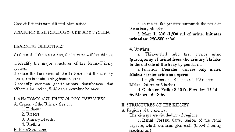 Anatomy & Physiology of the Urinary System: Learning Objectives - Studocu