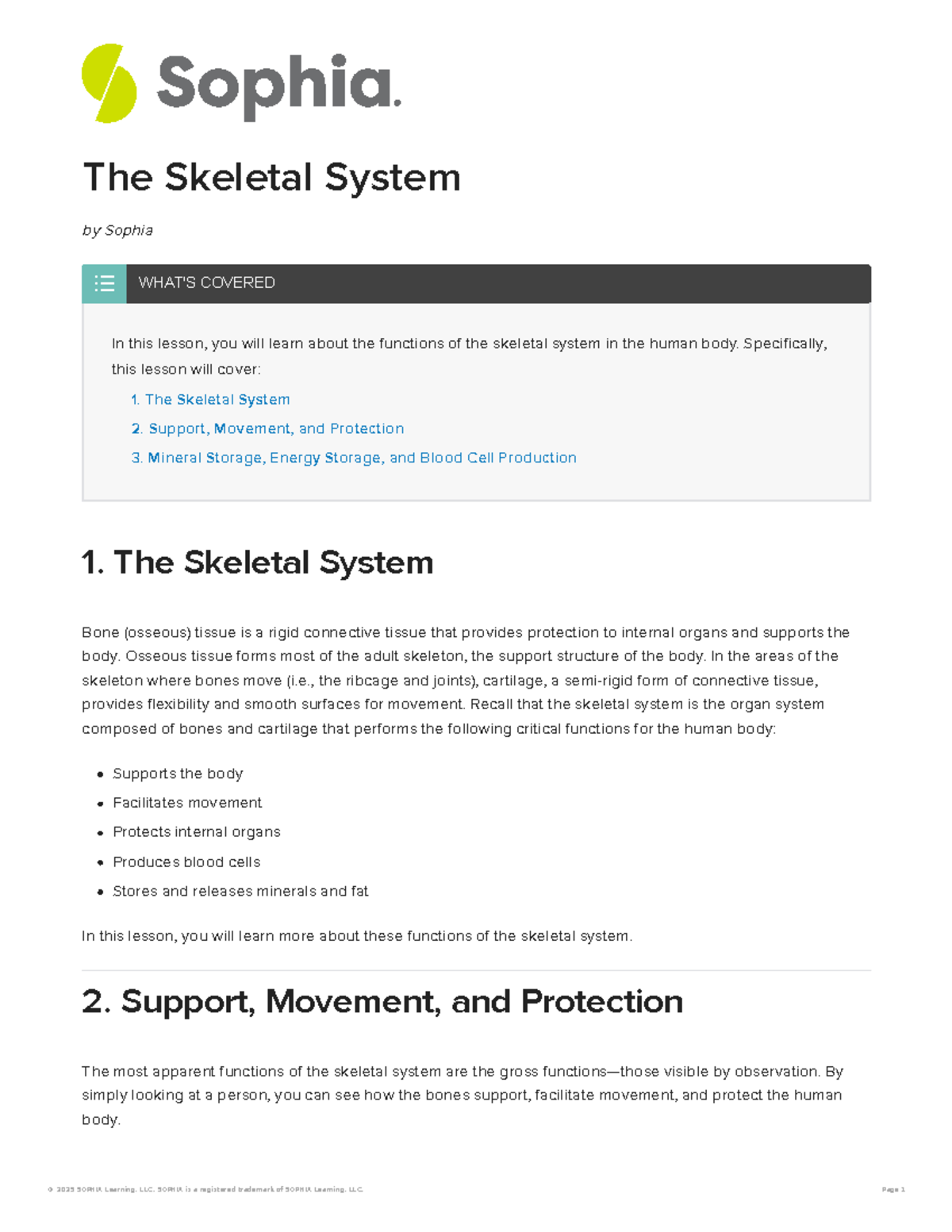 The Skeletal System 4 - Lecture Notes on Functions and Structure - Studocu