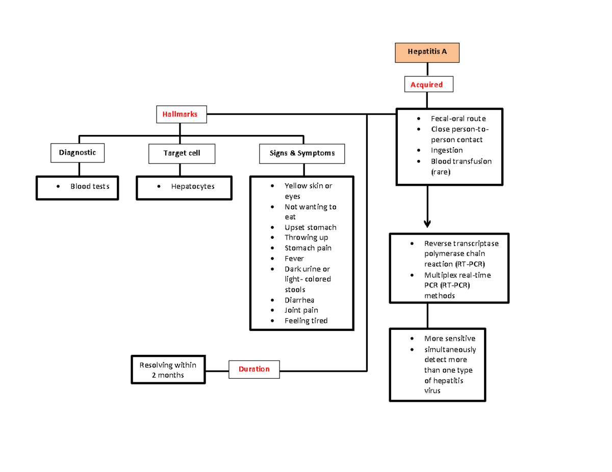 Hepatitis Concept Map - Hepatitis A Fecal-oral route Close person-to ...