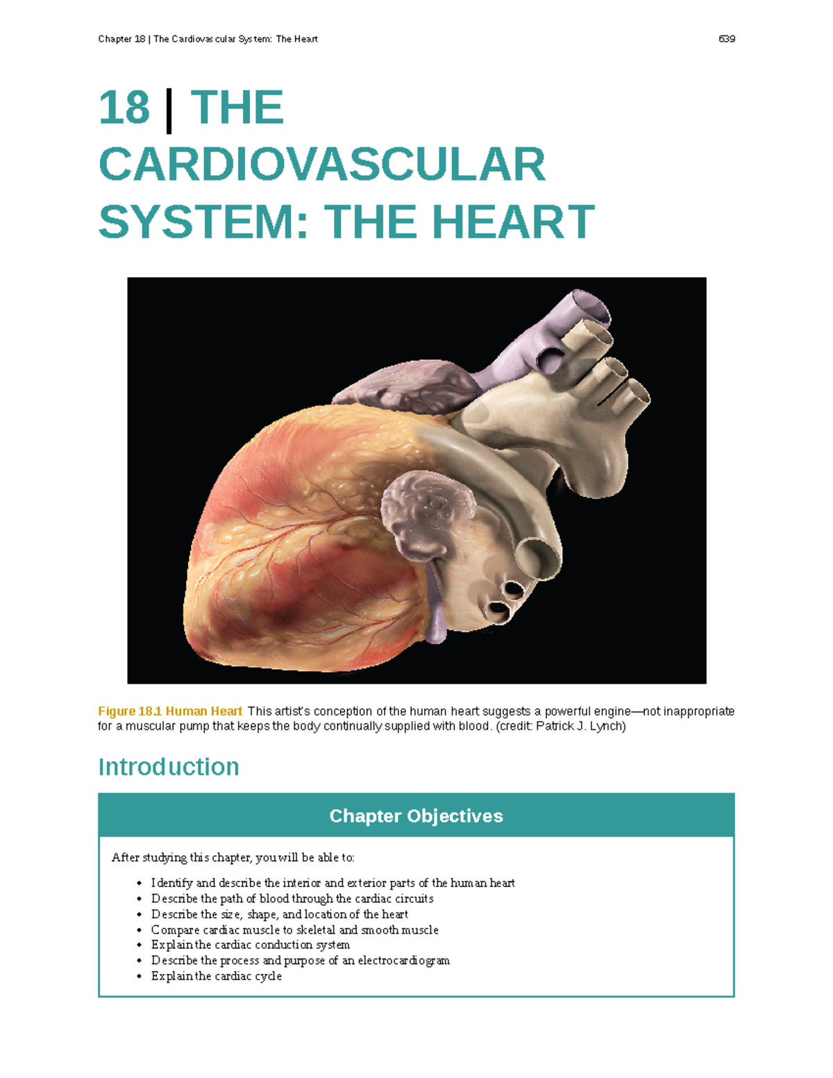 Open Stax+Ch18+%28heart%29 - 18 | THE CARDIOVASCULAR SYSTEM: THE HEART ...