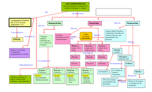 'Diagrama de monosacaridos' - Bioquímica - Glucosa Fructosa Aldohexosa ...
