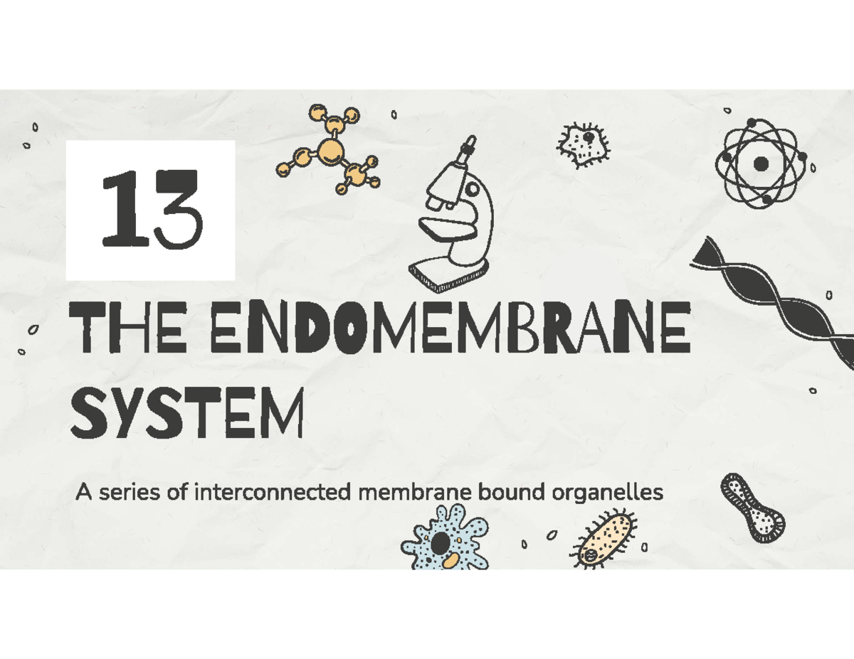 Endomembrane System Lecture Notes - BIO101 - Studocu