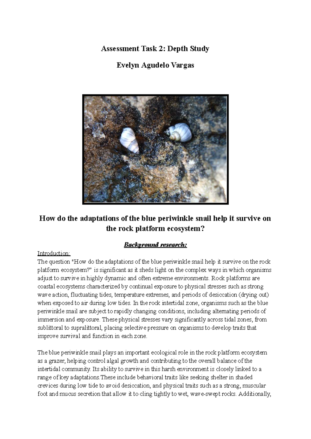 Biology Assessment 2: Depth Study on Blue Periwinkle Adaptations - Studocu