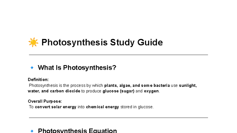 Photosynthesis Study Guide: Understanding the Process and Importance - Studocu
