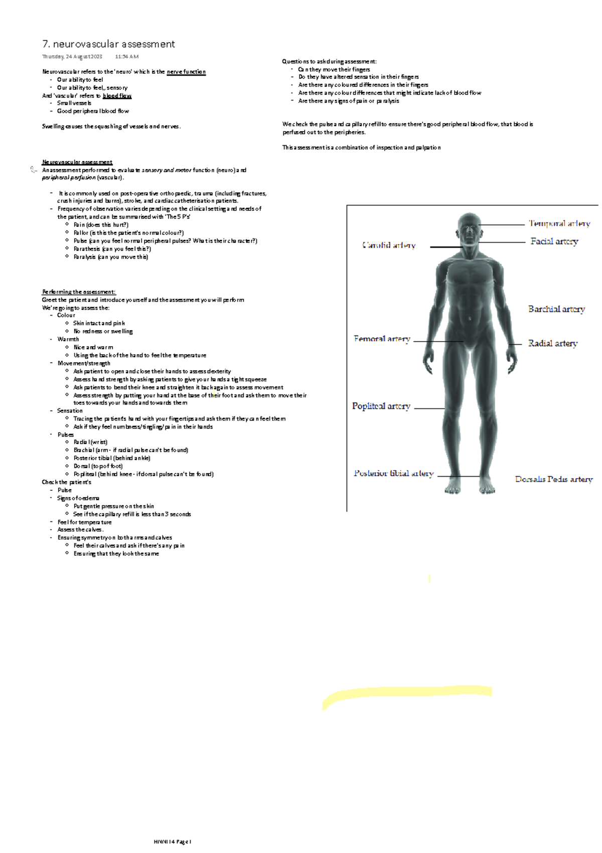 HNN114: Comprehensive Guide to Neurovascular Assessment Techniques ...