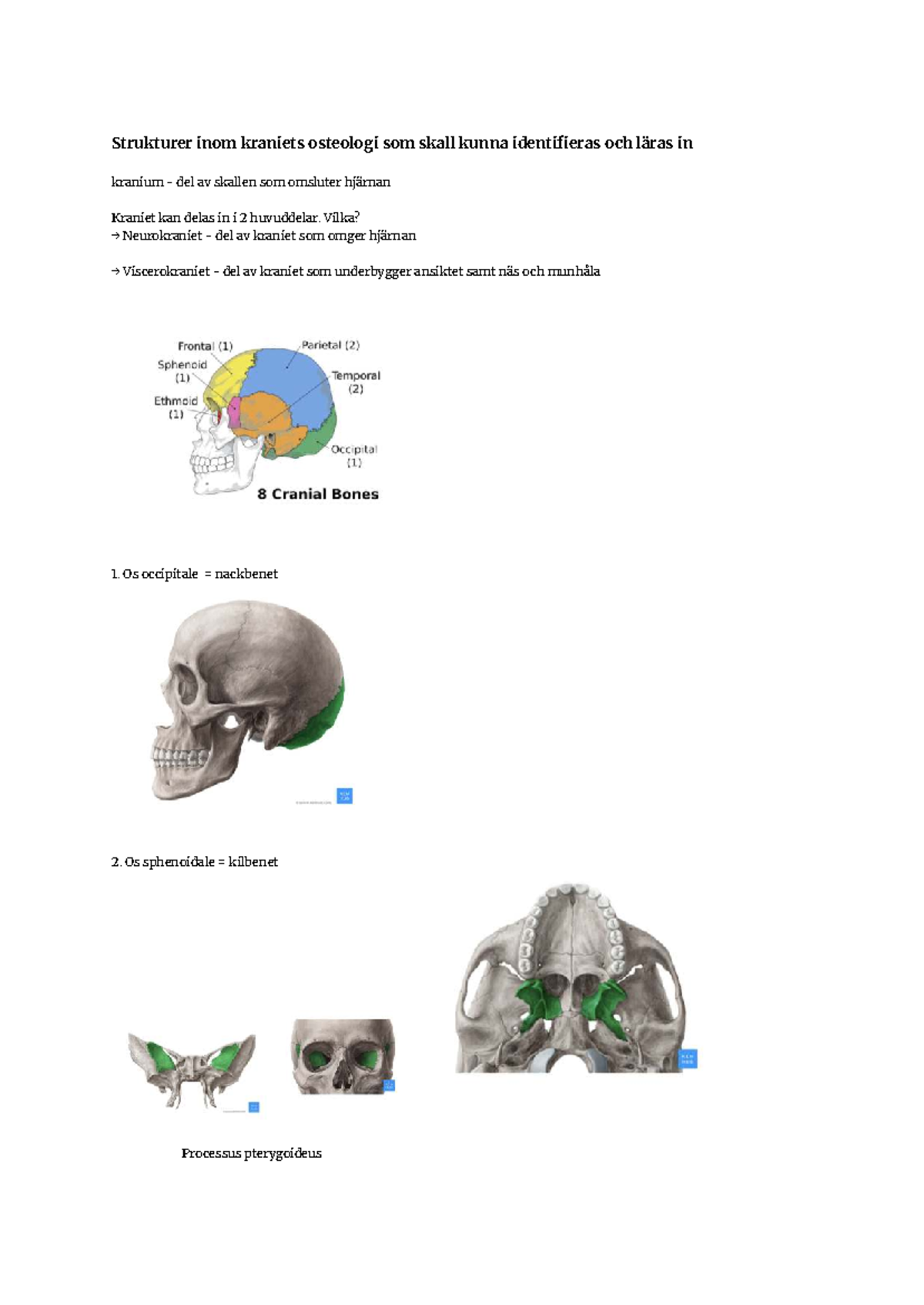 Anatomi och Osteologi av Kraniet och Ansiktet - T2 Lektioner - Studocu