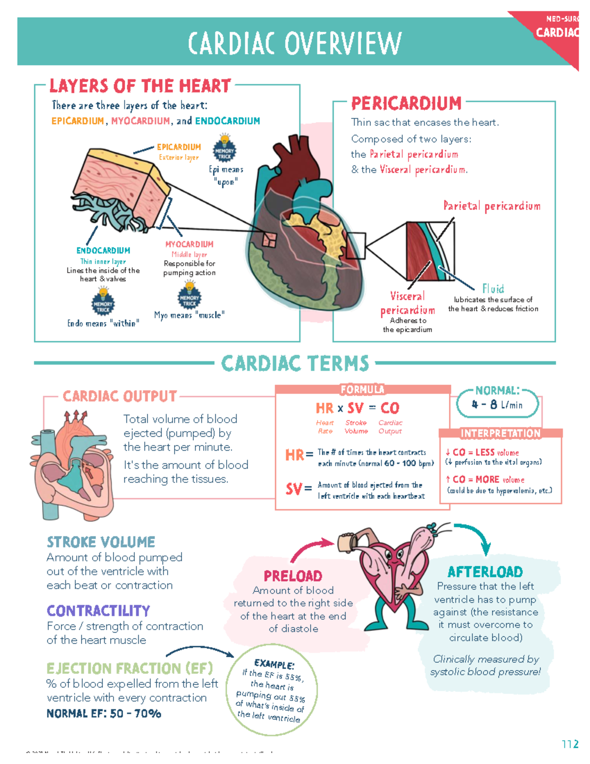 CARDIAC SYSTEM OVERVIEW: LAYERS, OUTPUT, AND EKG ANALYSIS - Studocu