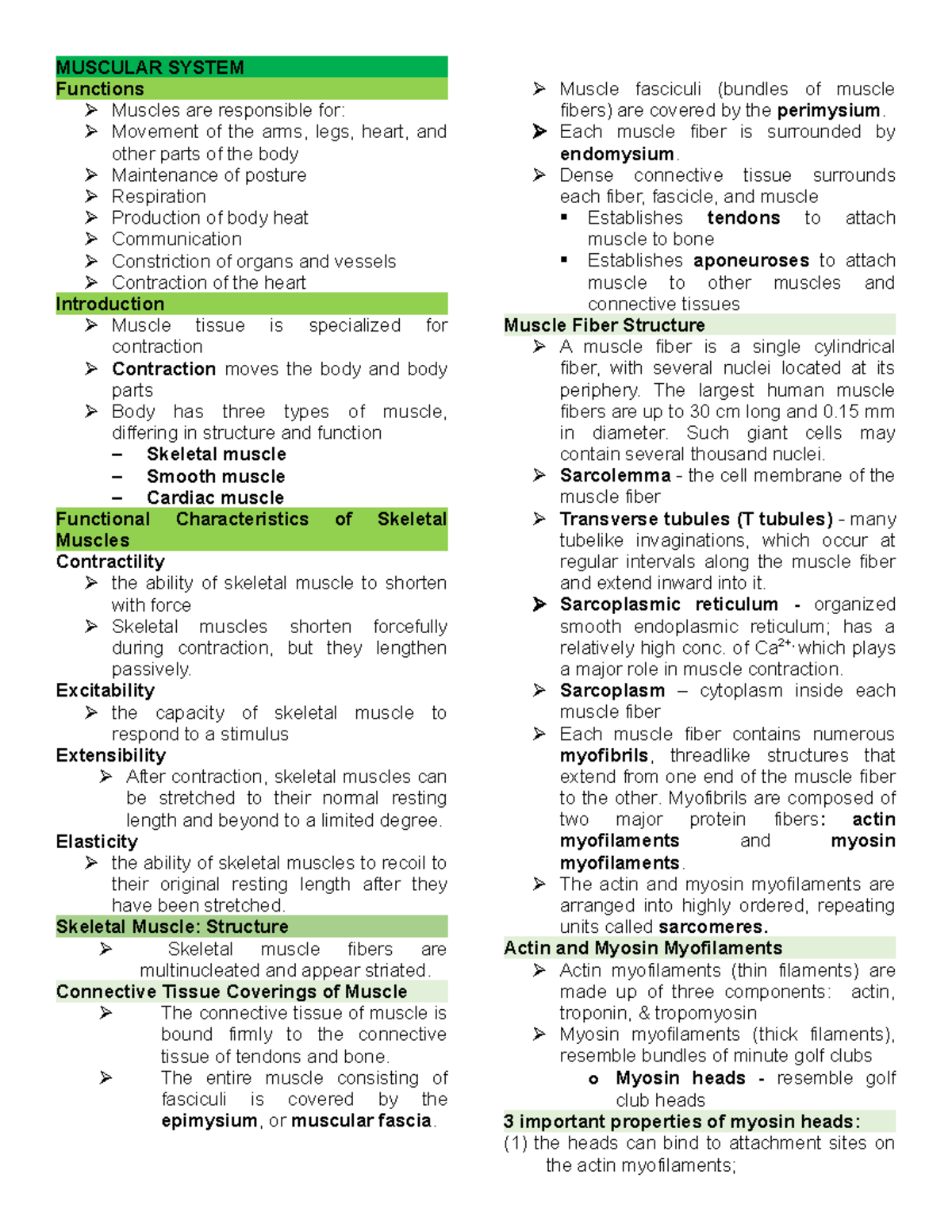 Anaphy Chapter 7 Muscular System - MUSCULAR SYSTEM Functions Muscles are responsible for: - Studocu