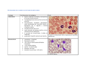 Morfología de los Glóbulos rojos - copia - ANISOCITOSIS MICROCITOSIS ...